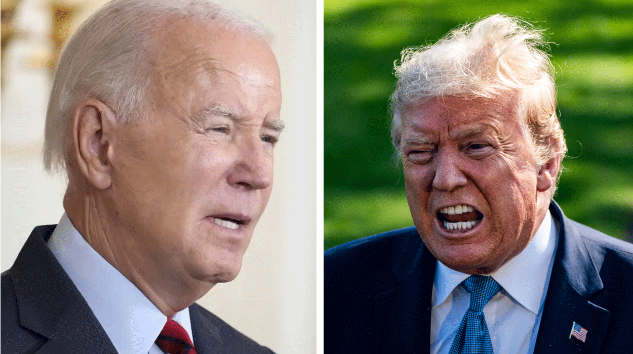 2024 Presidential Election Cheat Sheet - McSweeney’s Internet Tendency