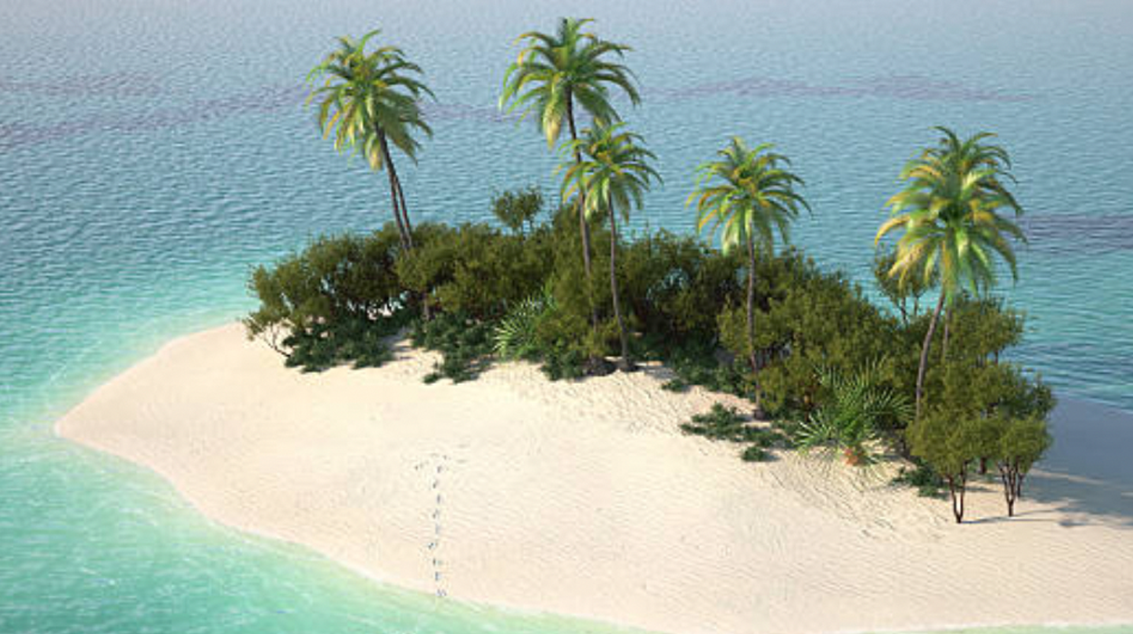 Things I Definitely Wouldn’t Bring If I Were Stranded on a Desert ...