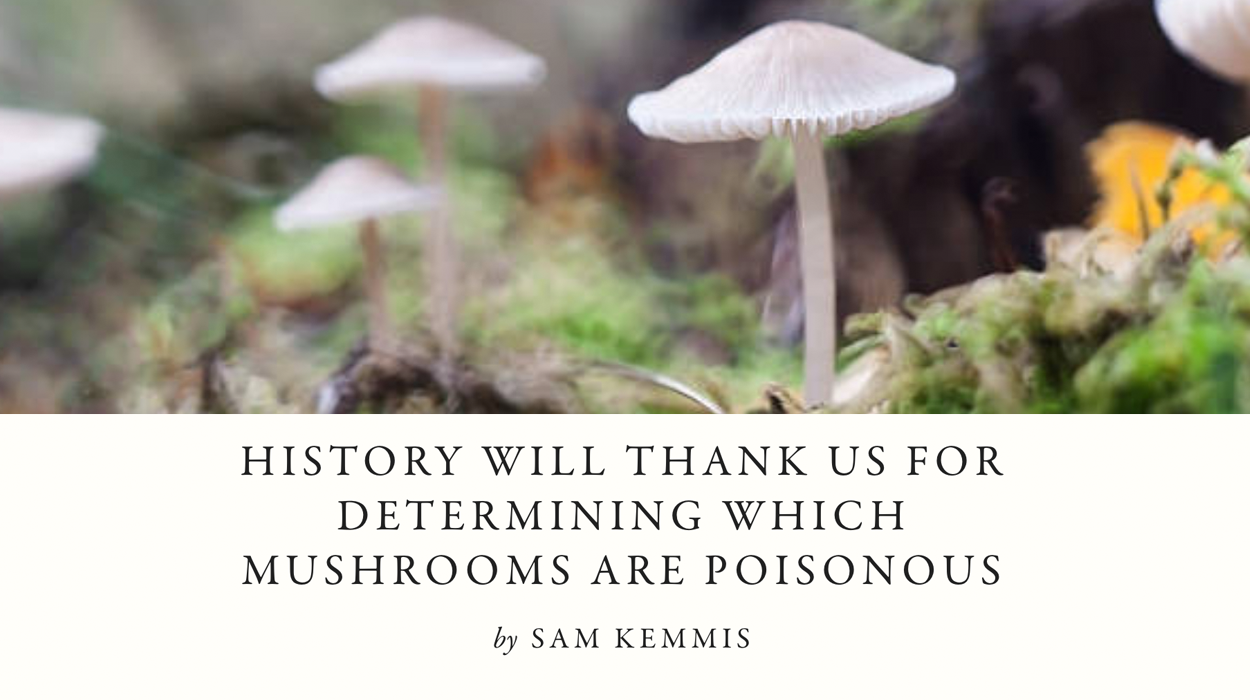 History Will Thank Us for Determining Which Mushrooms are Poisonous ...