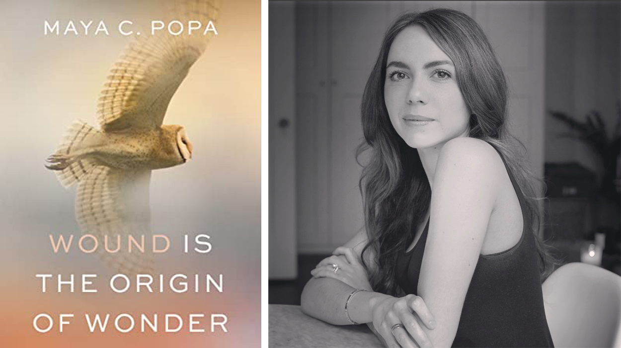 Short Conversations with Poets: Maya C. Popa - McSweeney’s Internet Tendency