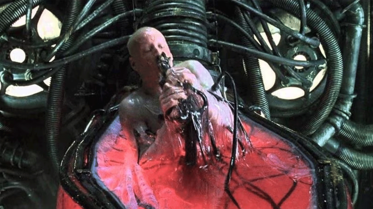 Why I Chose to Reenter the Matrix and Be a Living Battery for the ...