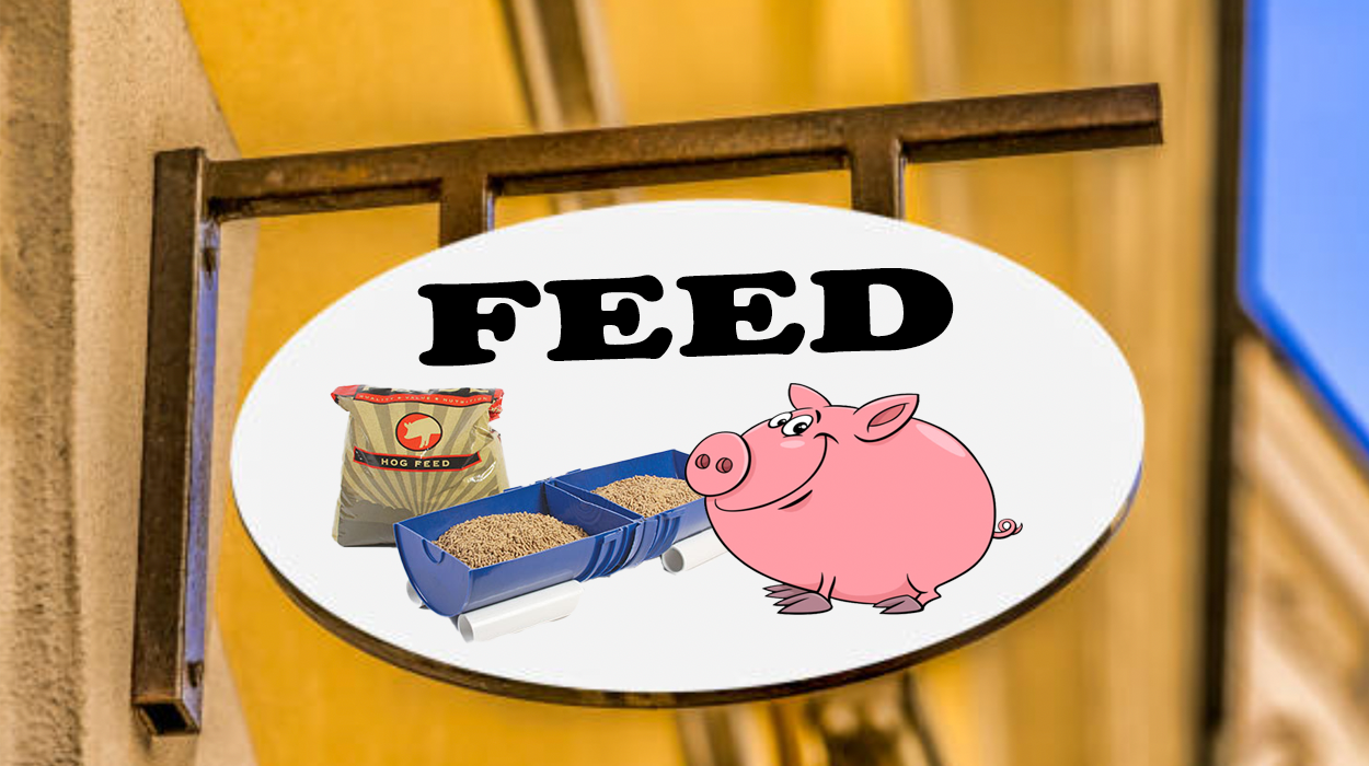 Grab a Quick Lunch at Our Fast-Casual Slop Trough - McSweeney’s ...