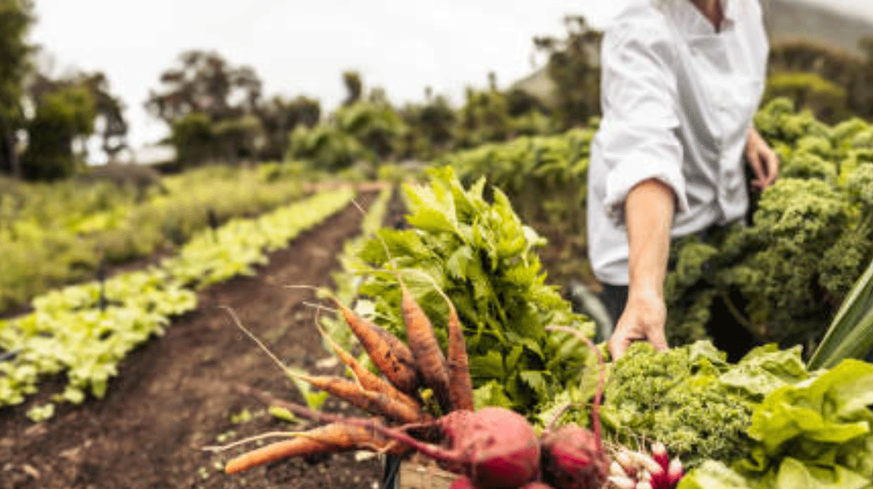 The Secret of Ancestor Fields Farm Is Our Land. Also, Our Polygamy ...
