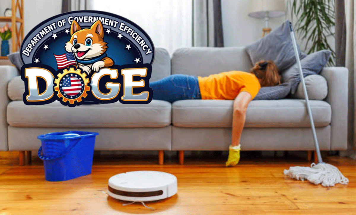 DOGE-Inspired Spring Cleaning - McSweeney’s Internet Tendency