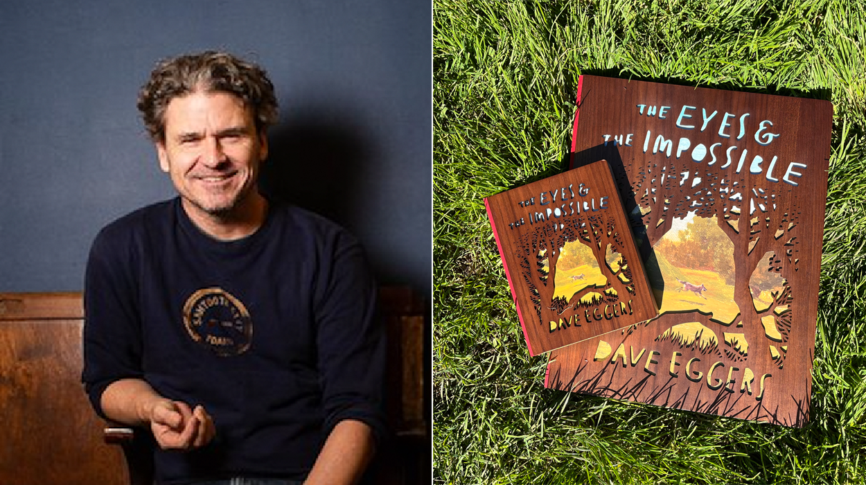 McSweeney’s Books: A Conversation with Dave Eggers About His Book, The ...