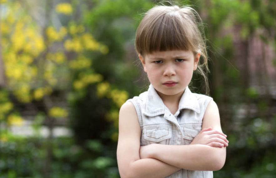 A Preschooler’s Guide to Managing Your Personal Assistant - McSweeney’s ...