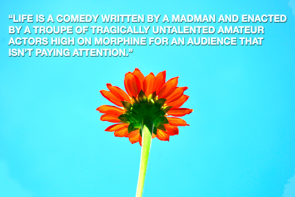 Life is a Comedy - McSweeney’s Internet Tendency