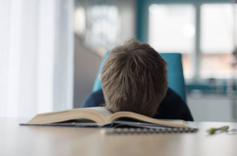 An Open Letter to Preschool Homework - McSweeney’s Internet Tendency