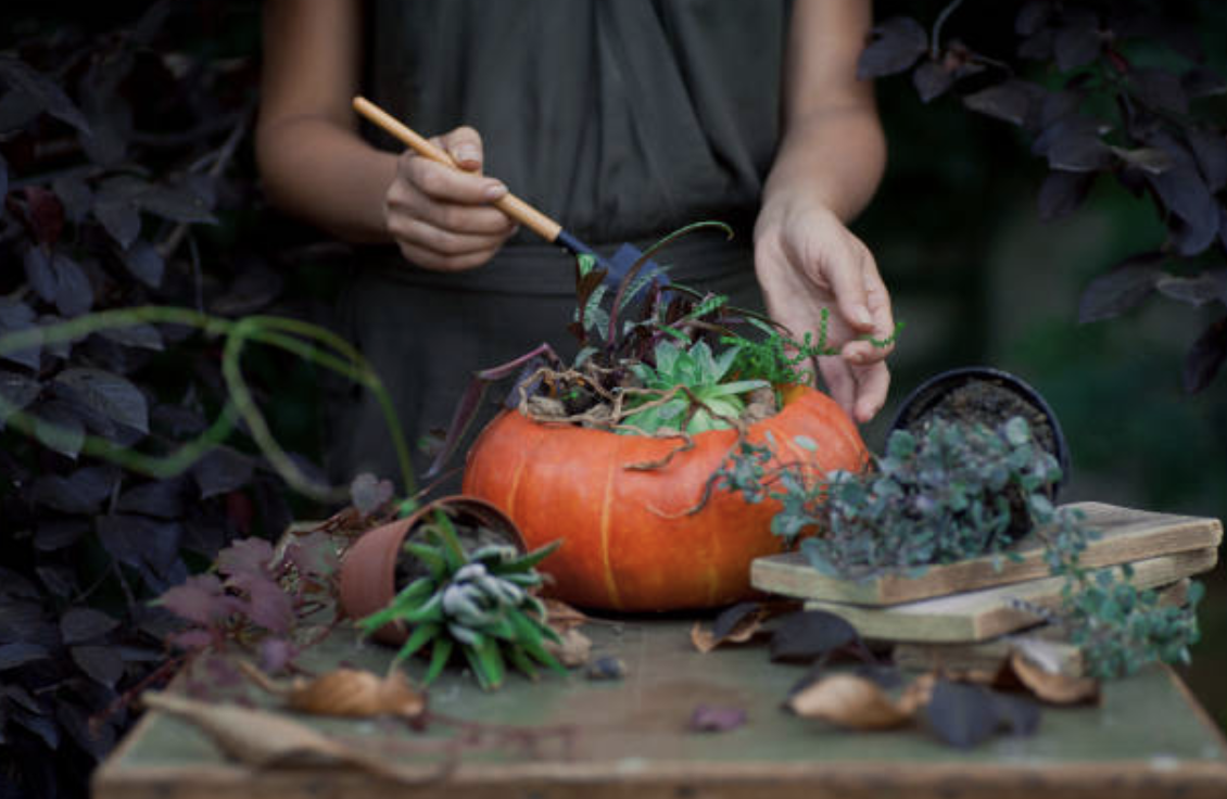 Decorating Tips for the Fall of Society - McSweeney’s Internet Tendency