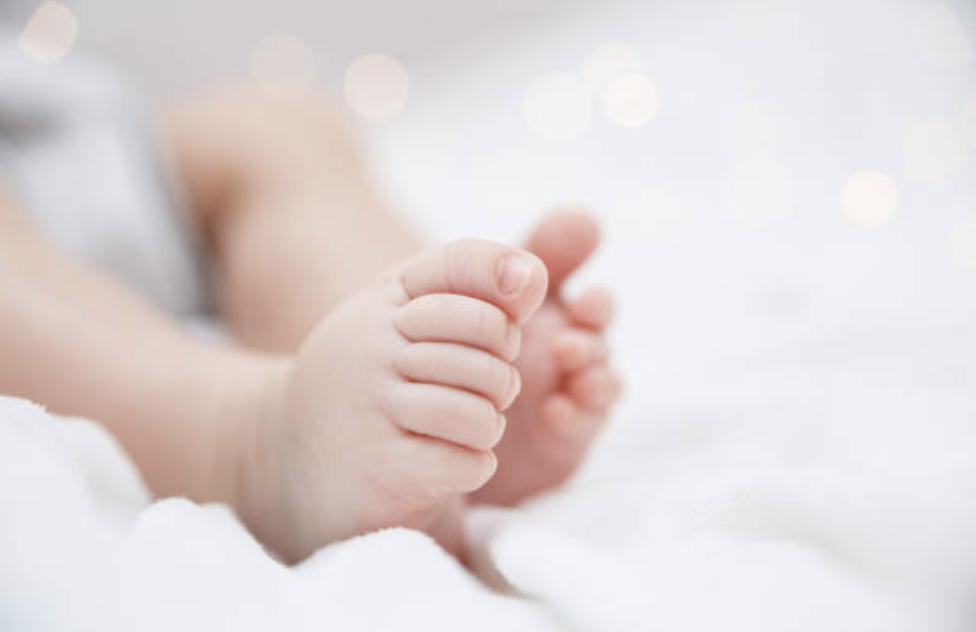 FOR IMMEDIATE RELEASE: The Birth of Samuel Allen Novak - McSweeney’s ...