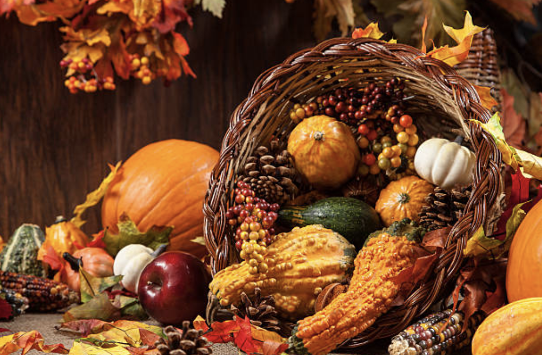 How to Make a Cornucopia, Because It’s Come to This - McSweeney’s ...