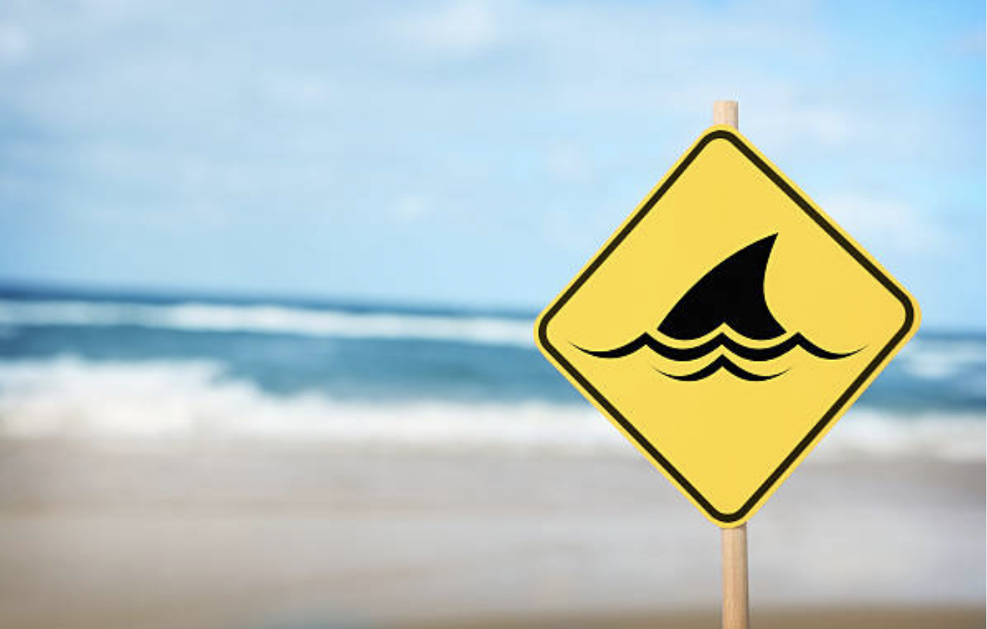 There Are Far More Things to Worry About at Our Beach Than Shark ...